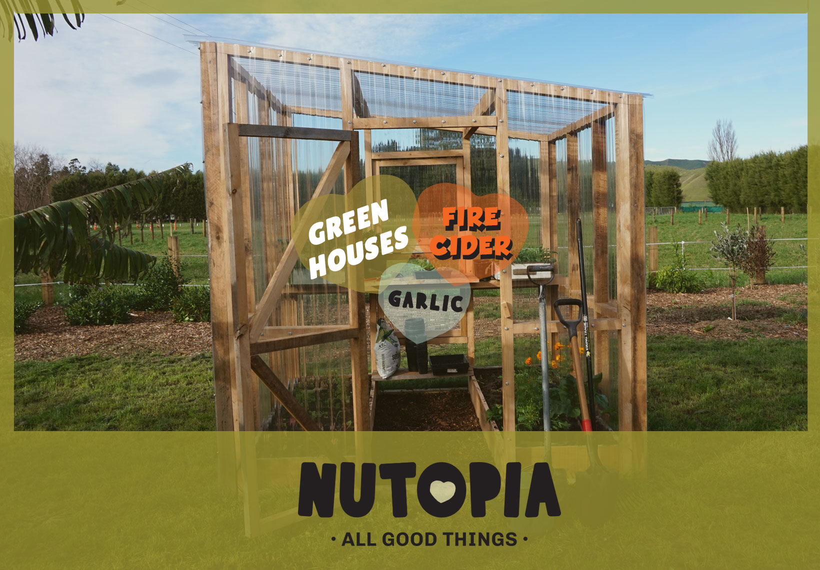 Home - Organic Fire Cider Tonic, Organic Mandarins - Nutopia